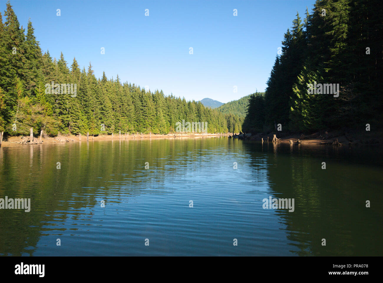 Stave lake british columbia canada hi-res stock photography and images ...
