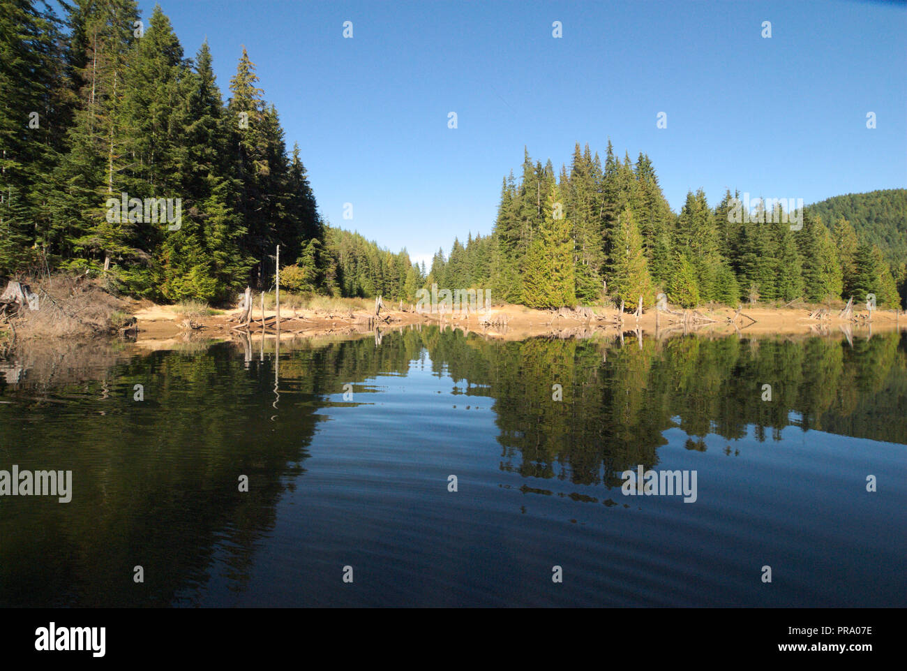 Reflections at Stave Lake in Mission, British Columbia, Canada Stock ...