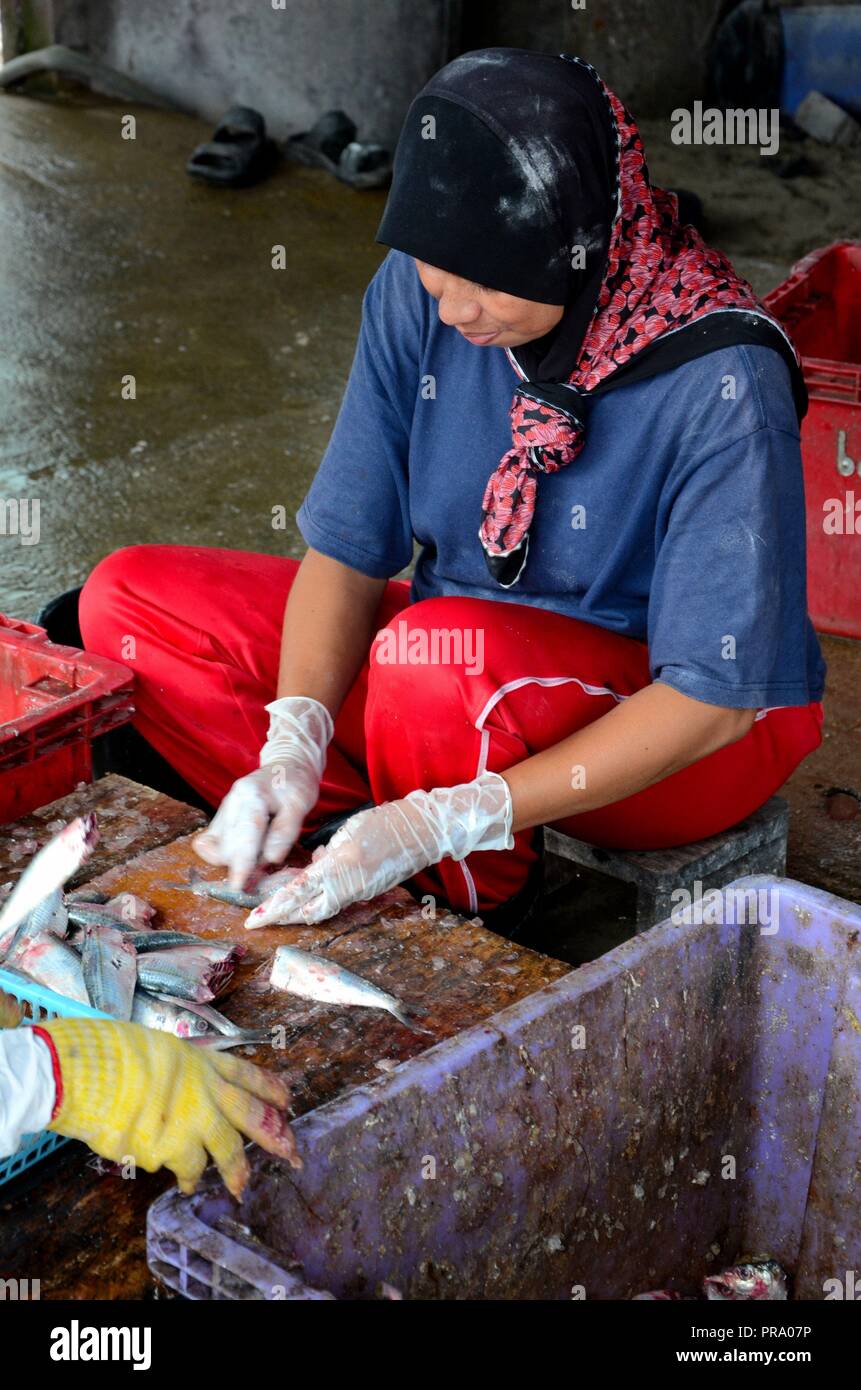 Latex pants hi-res stock photography and images - Alamy