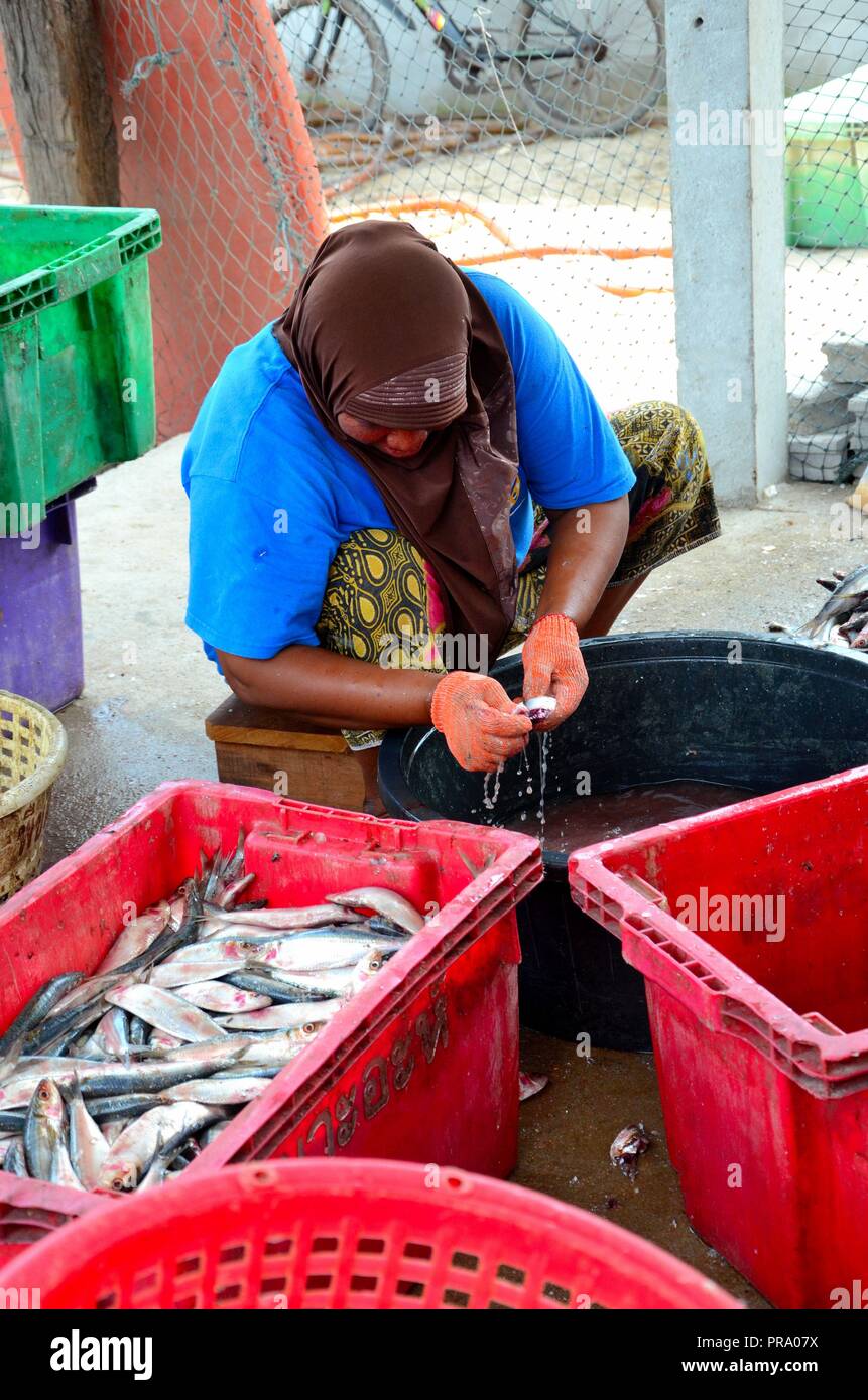 Batik process black and white High Resolution Stock Photography and ...