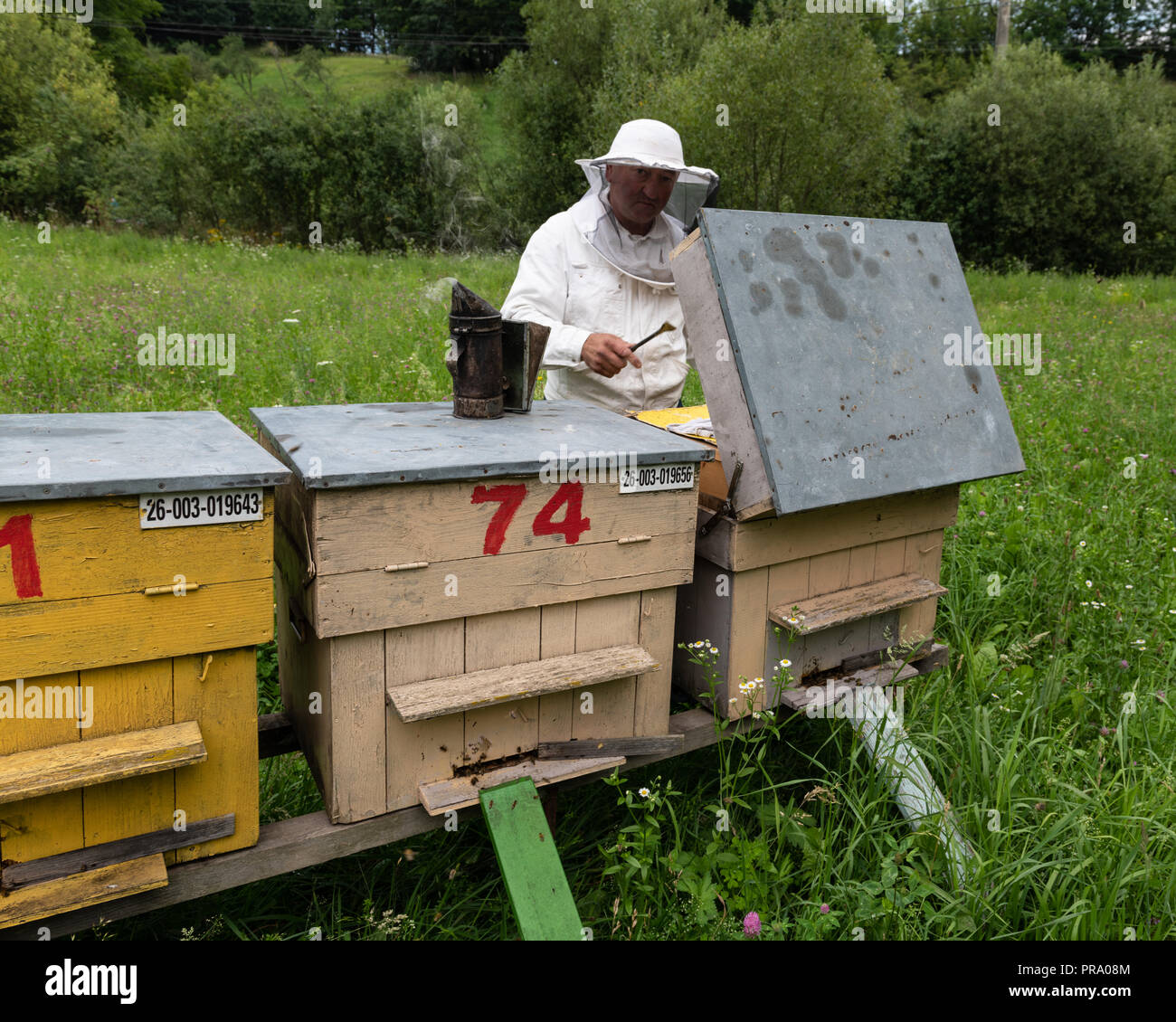Tools for beekeeping hi-res stock photography and images - Alamy