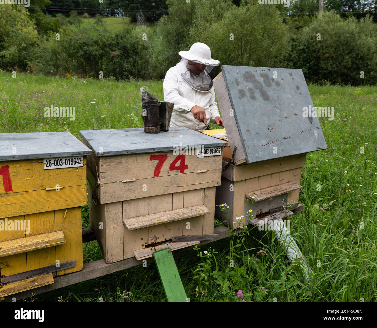 Apiarist tools hi-res stock photography and images - Alamy