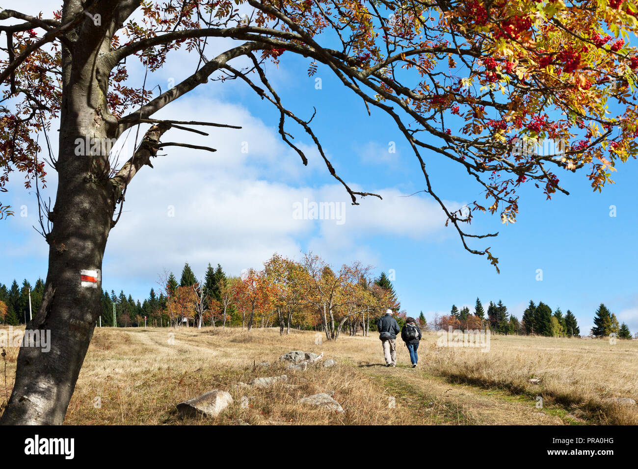 Mauritius mine trail hi-res stock photography and images - Alamy