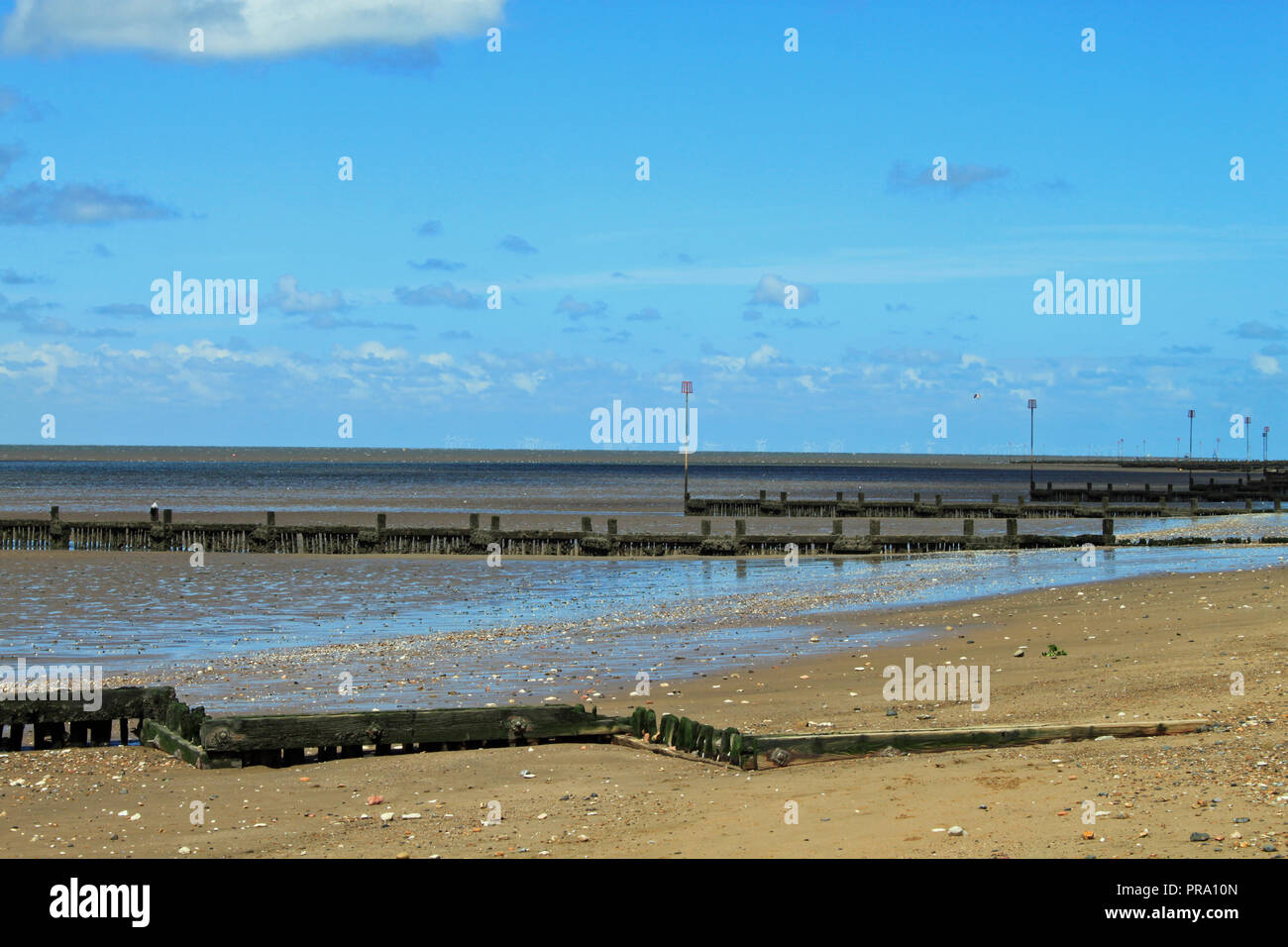 A side view of groyne at low tide with a sandy beach on the right and a ...
