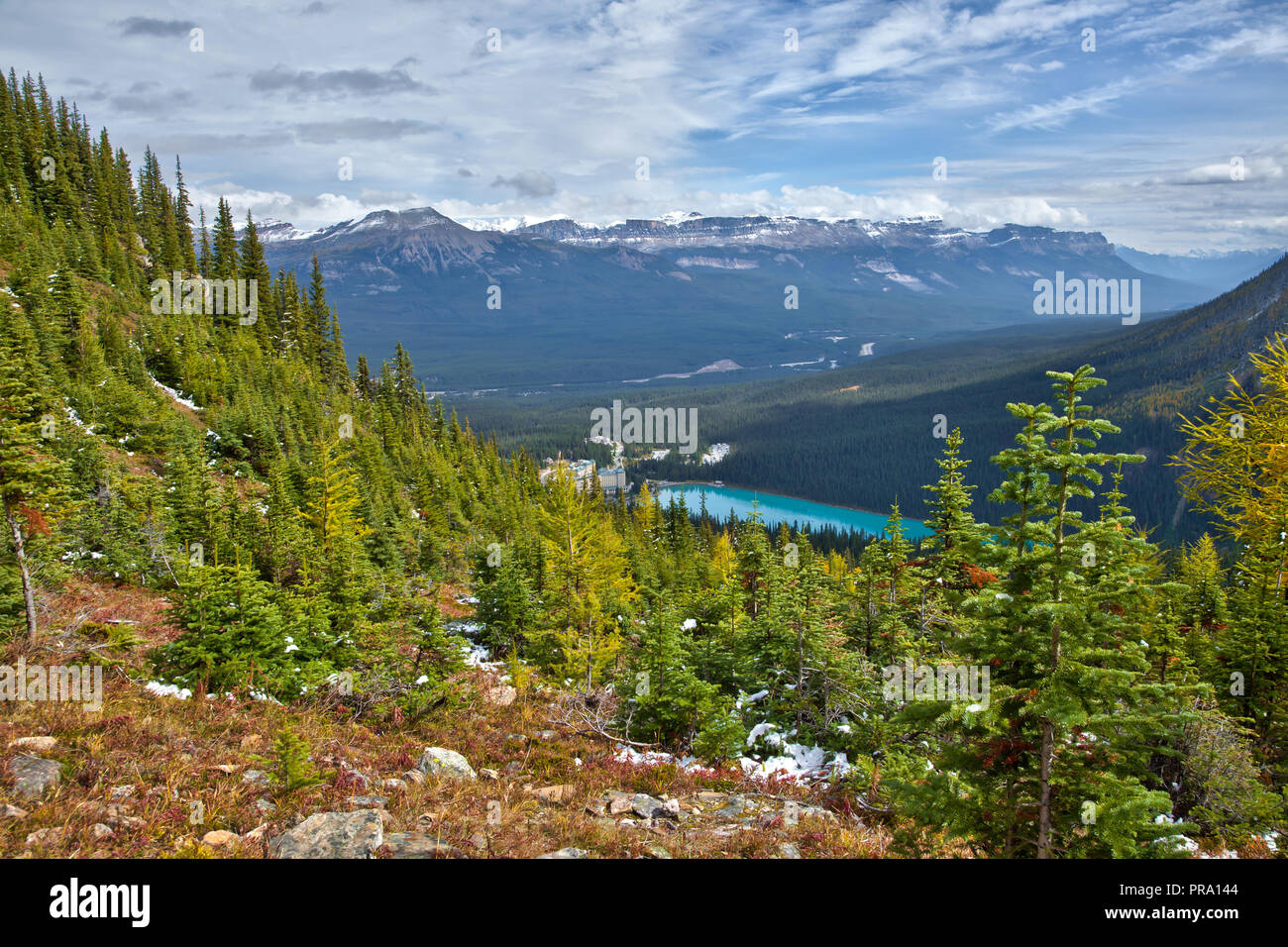 Golden trees fall banff hi-res stock photography and images - Alamy