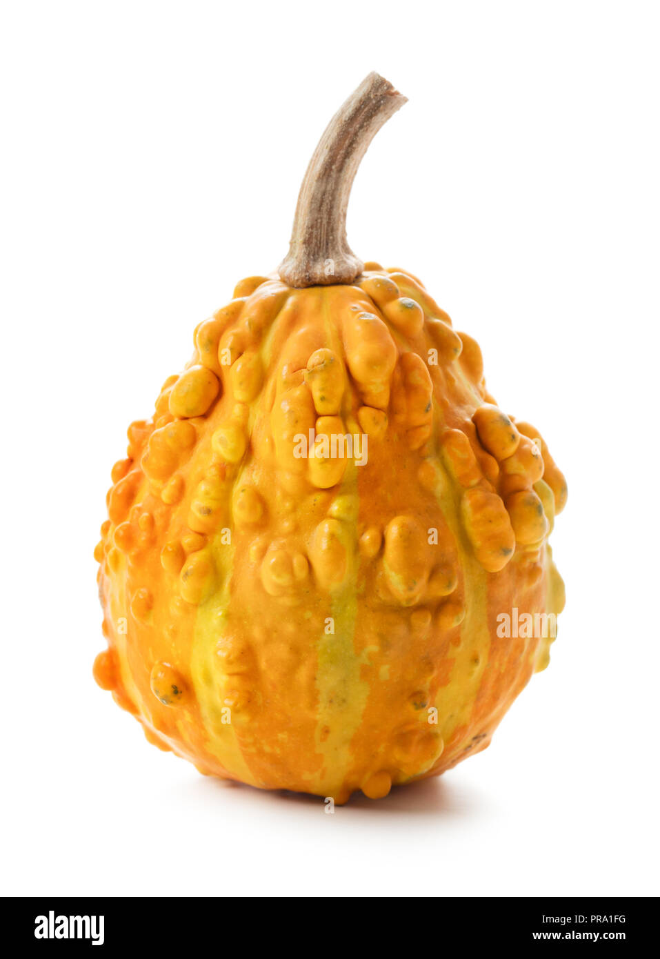 single ripe pumkin isolated on white background Stock Photo - Alamy