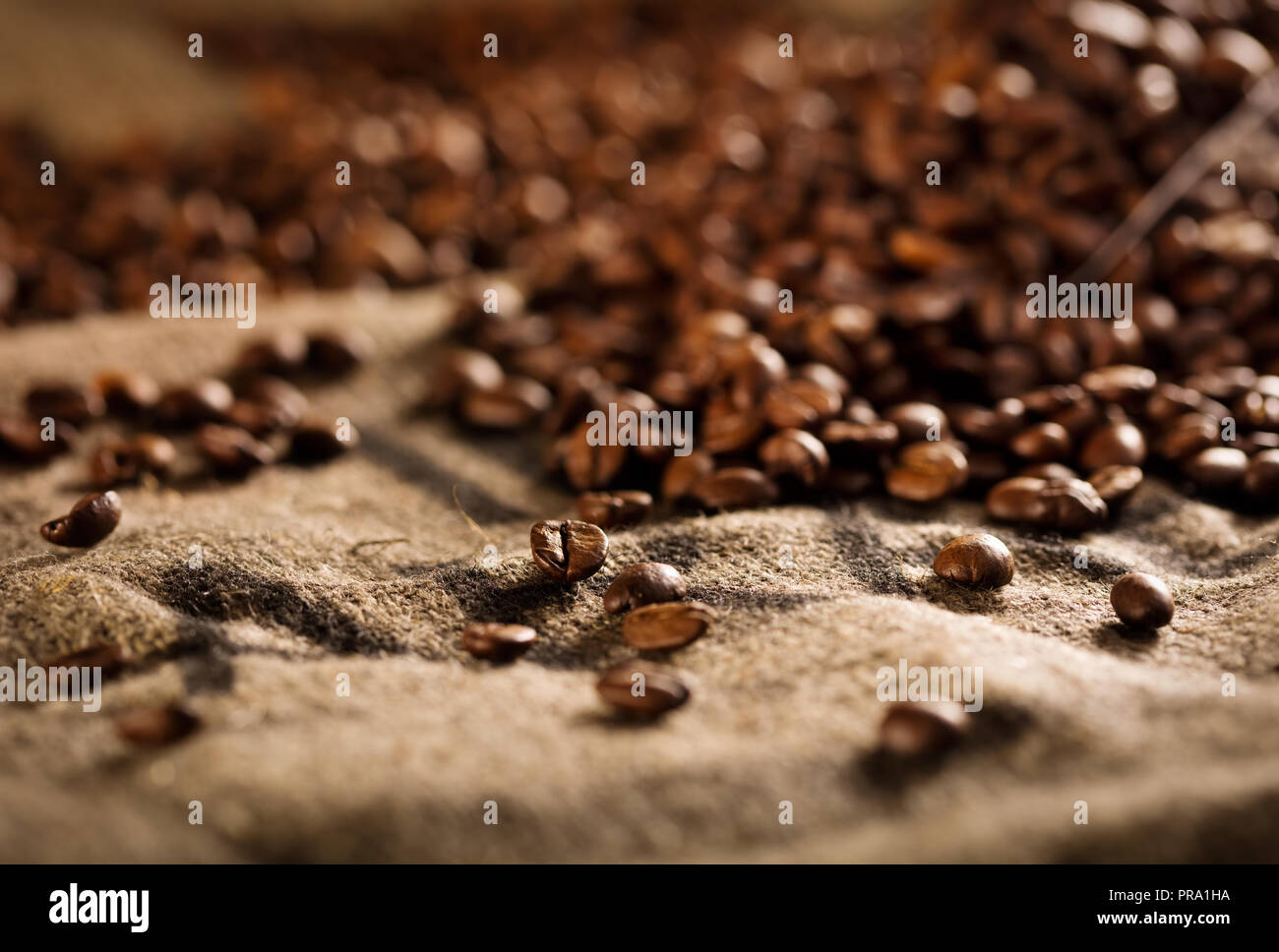 Bean seeds tissue hi-res stock photography and images - Alamy