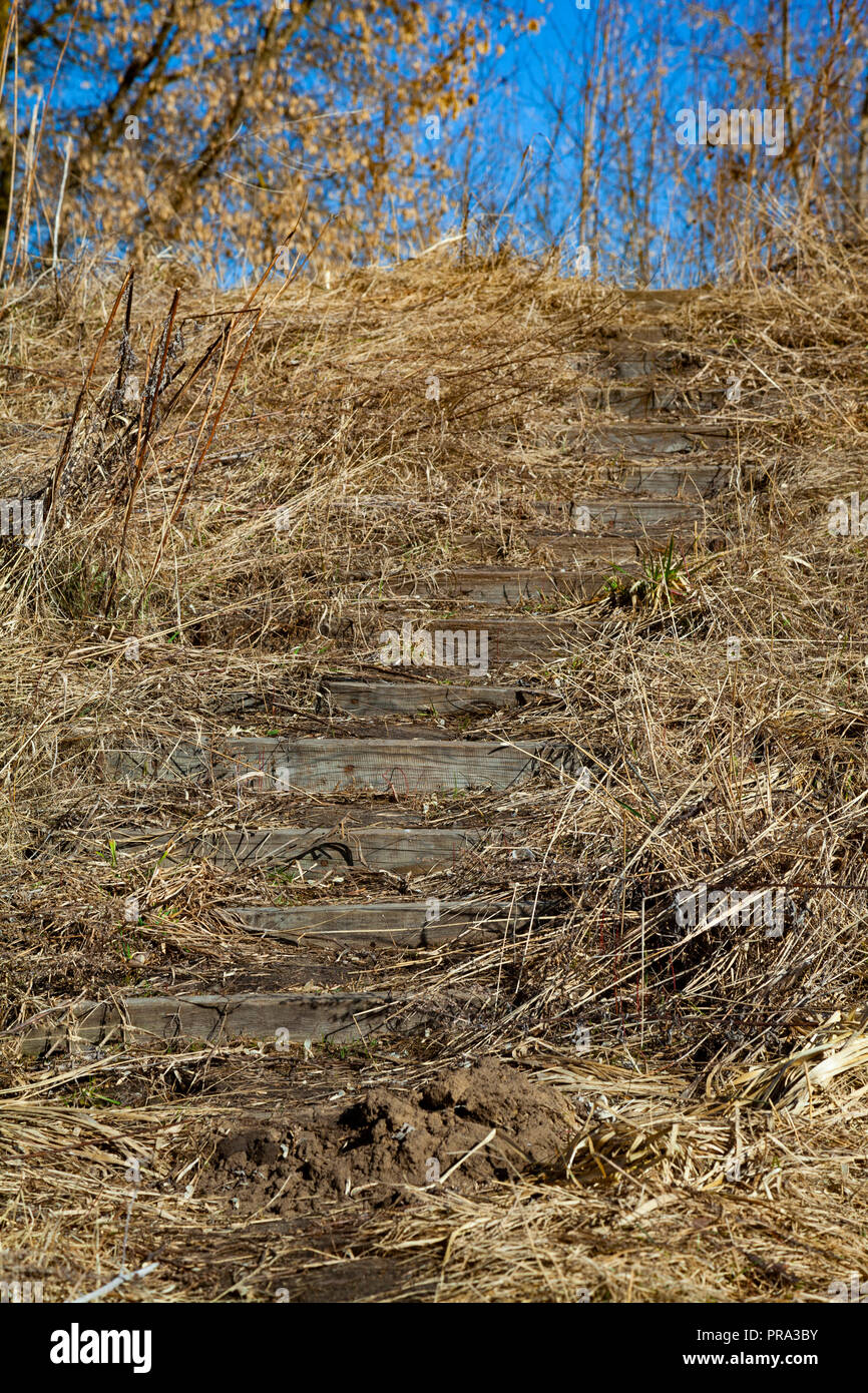 Stairs to the meadow. Uneven steps from the ground lead up the hill ...
