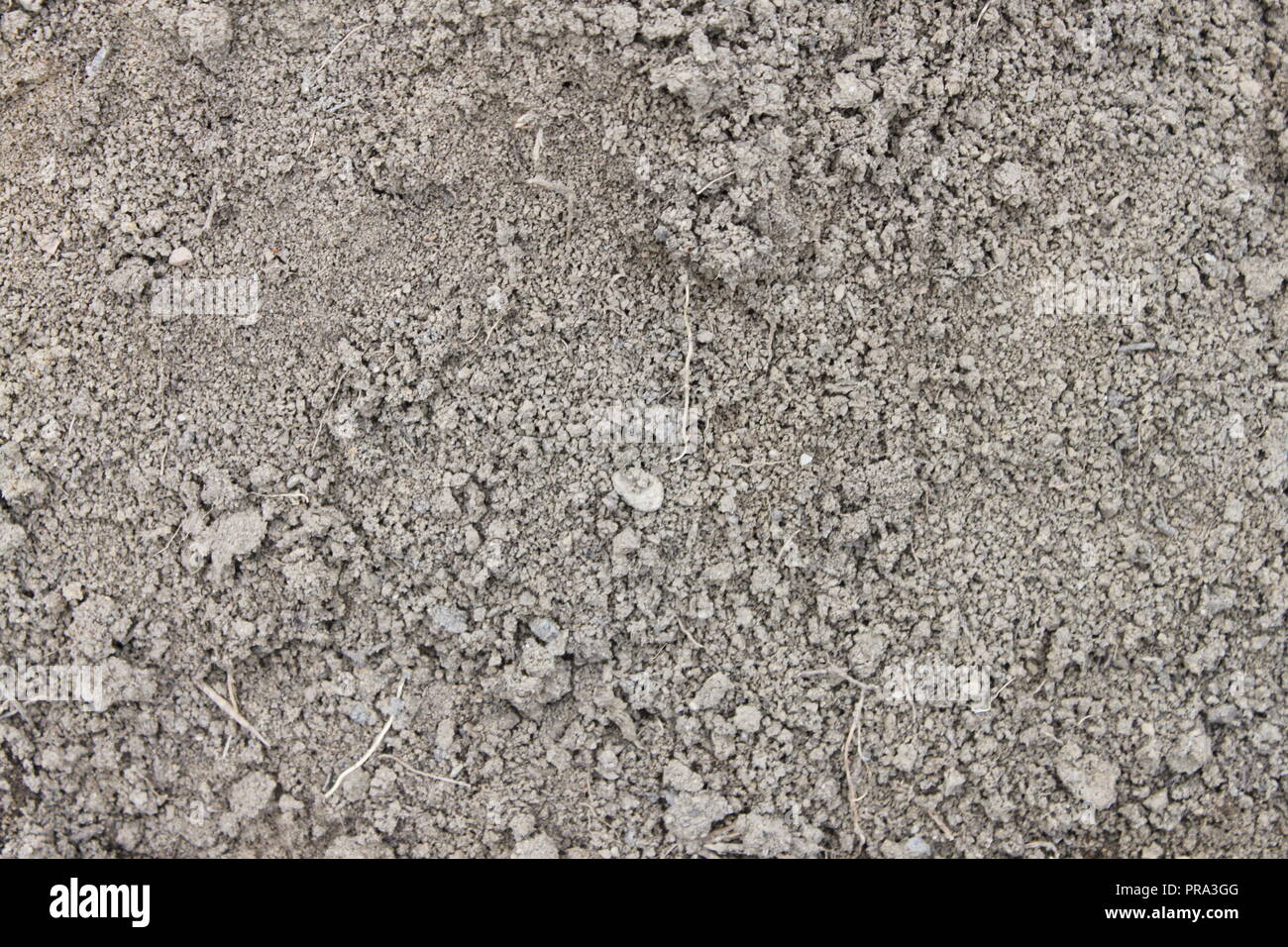 Sandy cracked soil hi-res stock photography and images - Alamy