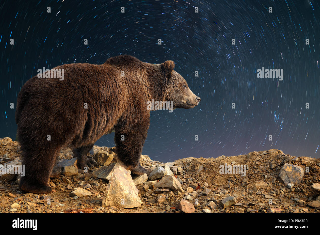 Star rotation hi-res stock photography and images - Alamy
