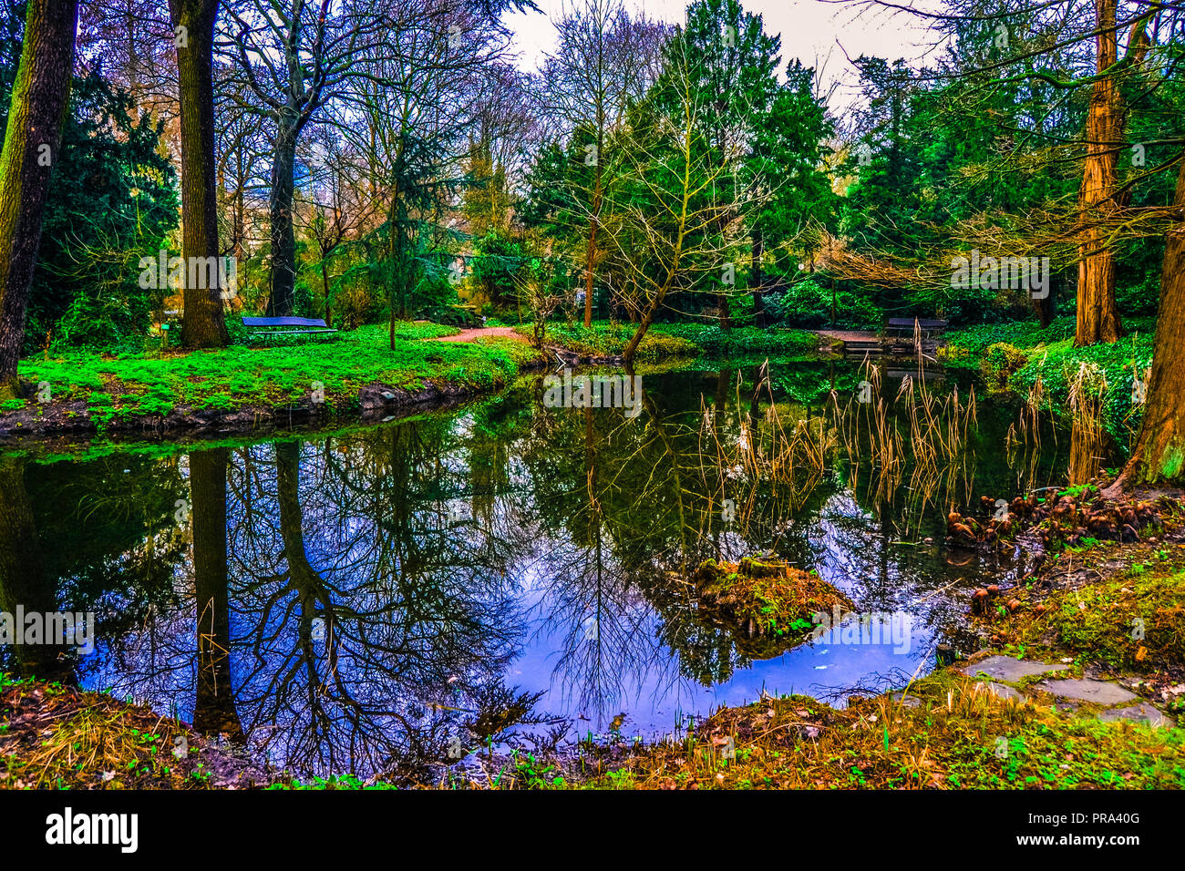 Rotterdam river canal, Holland Netherlands Stock Photo - Alamy