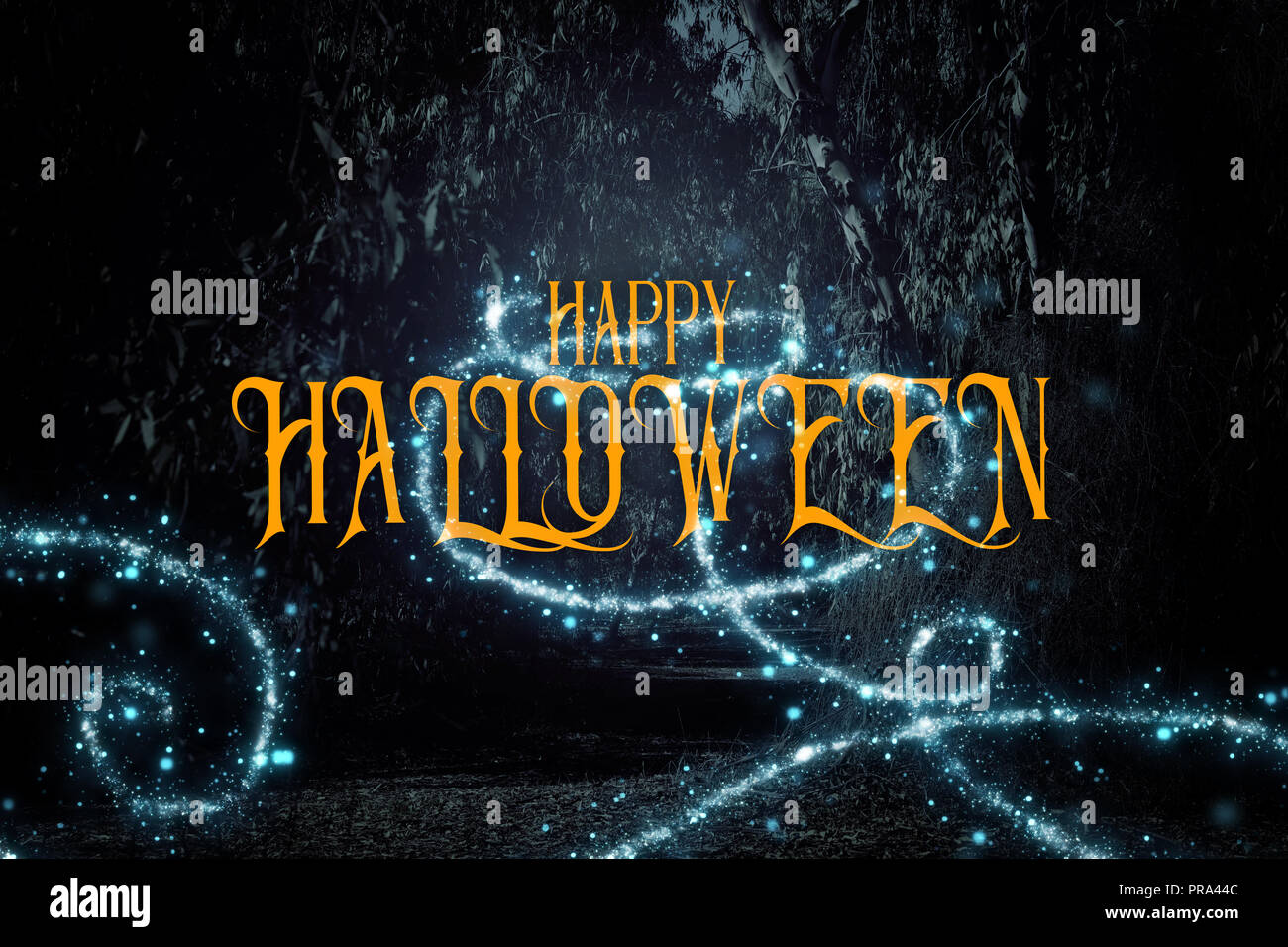 Halloween mysterious background of dark and haunted forest with text ...