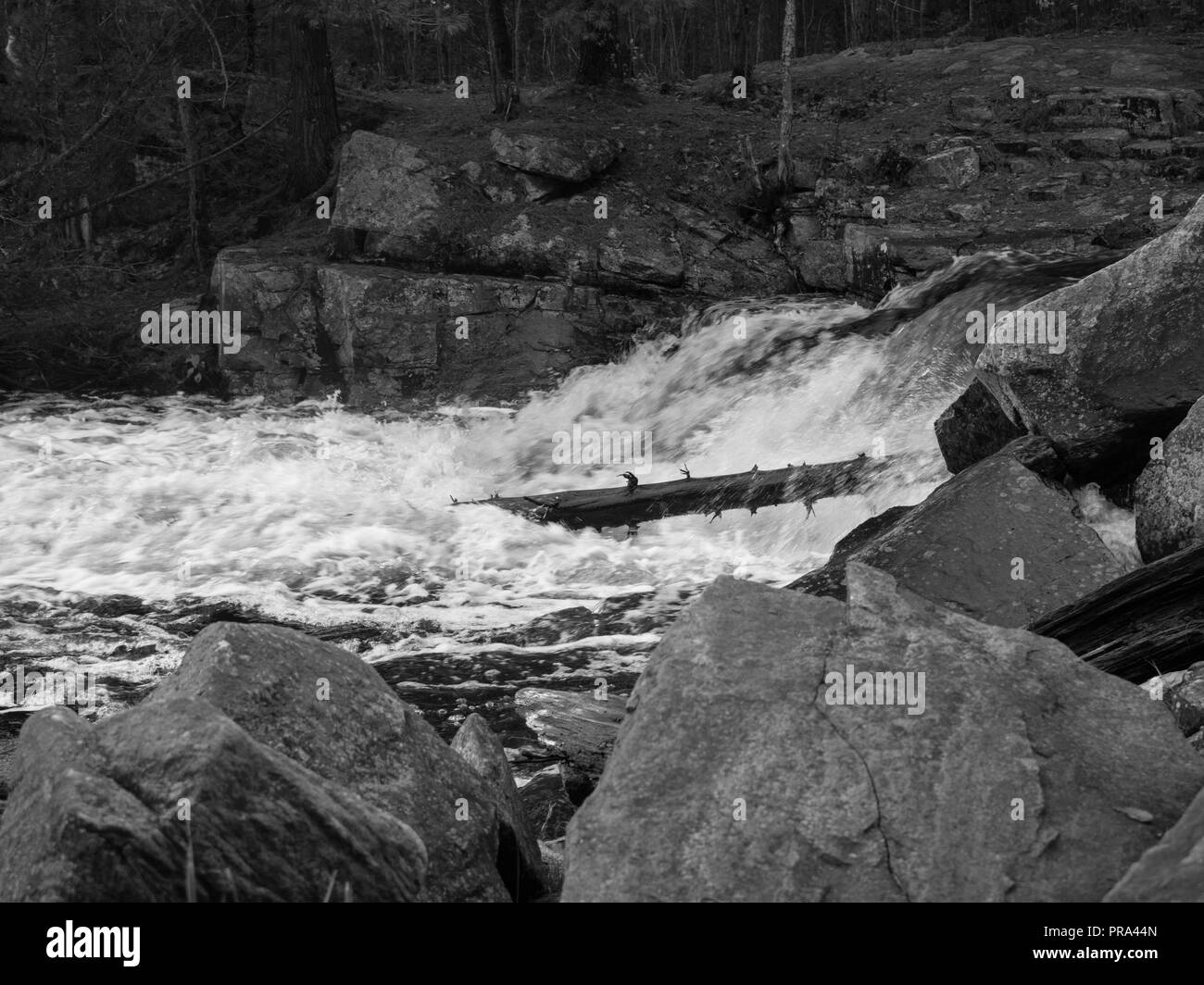 Raging rapids hi-res stock photography and images - Alamy