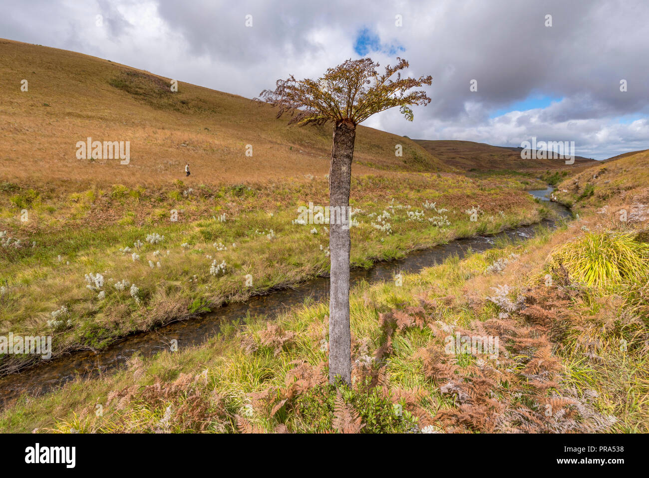 The beautiful Pungwe river seen in Zimbabwe's Nyanga National Park ...