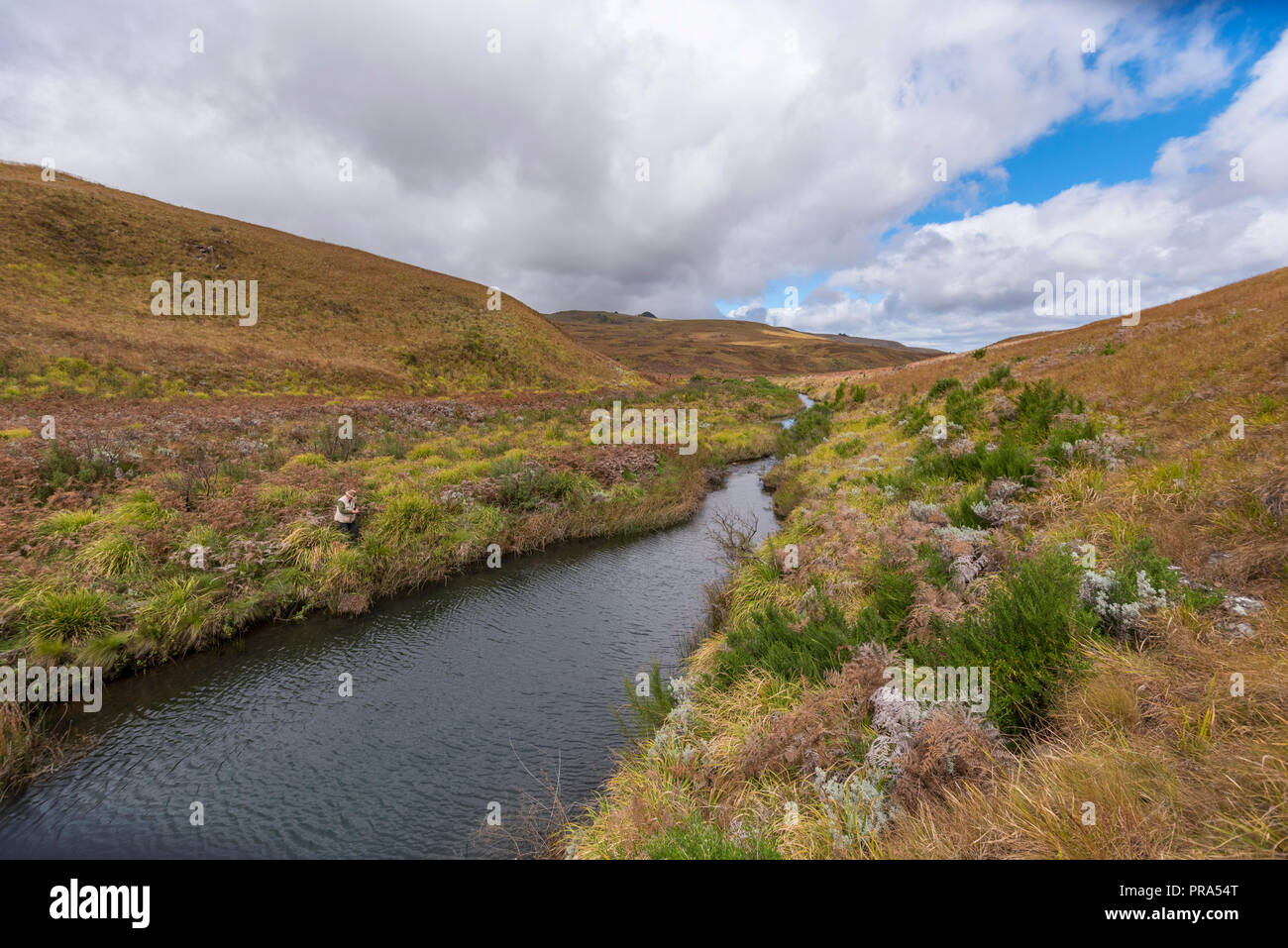 The beautiful Pungwe river seen in Zimbabwe's Nyanga National Park ...
