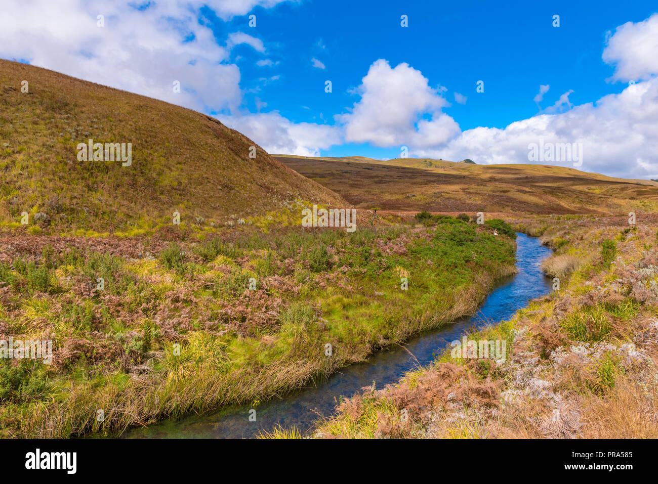 The beautiful Pungwe river seen in Zimbabwe's Nyanga National Park ...