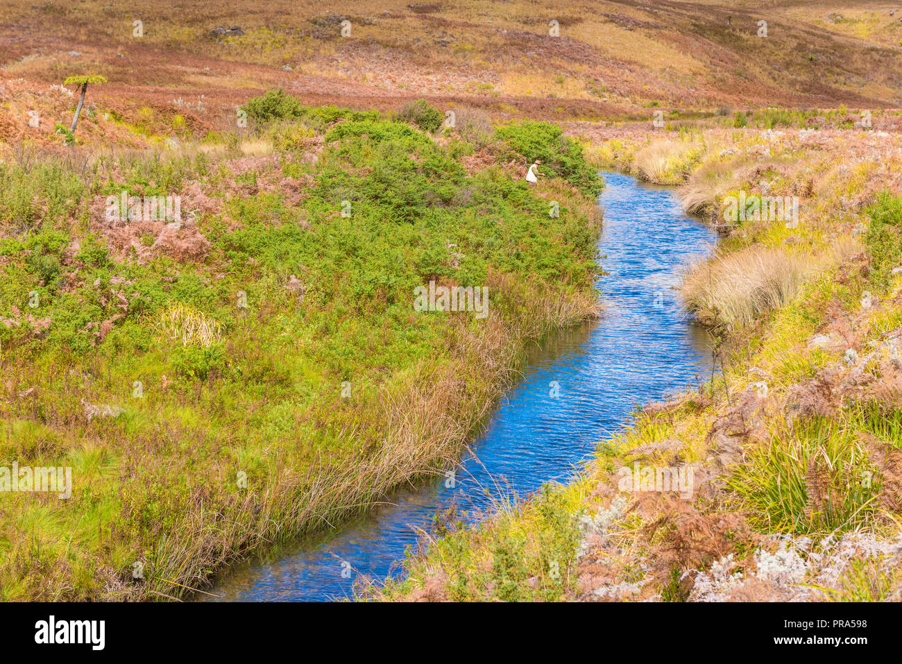The beautiful Pungwe river seen in Zimbabwe's Nyanga National Park ...
