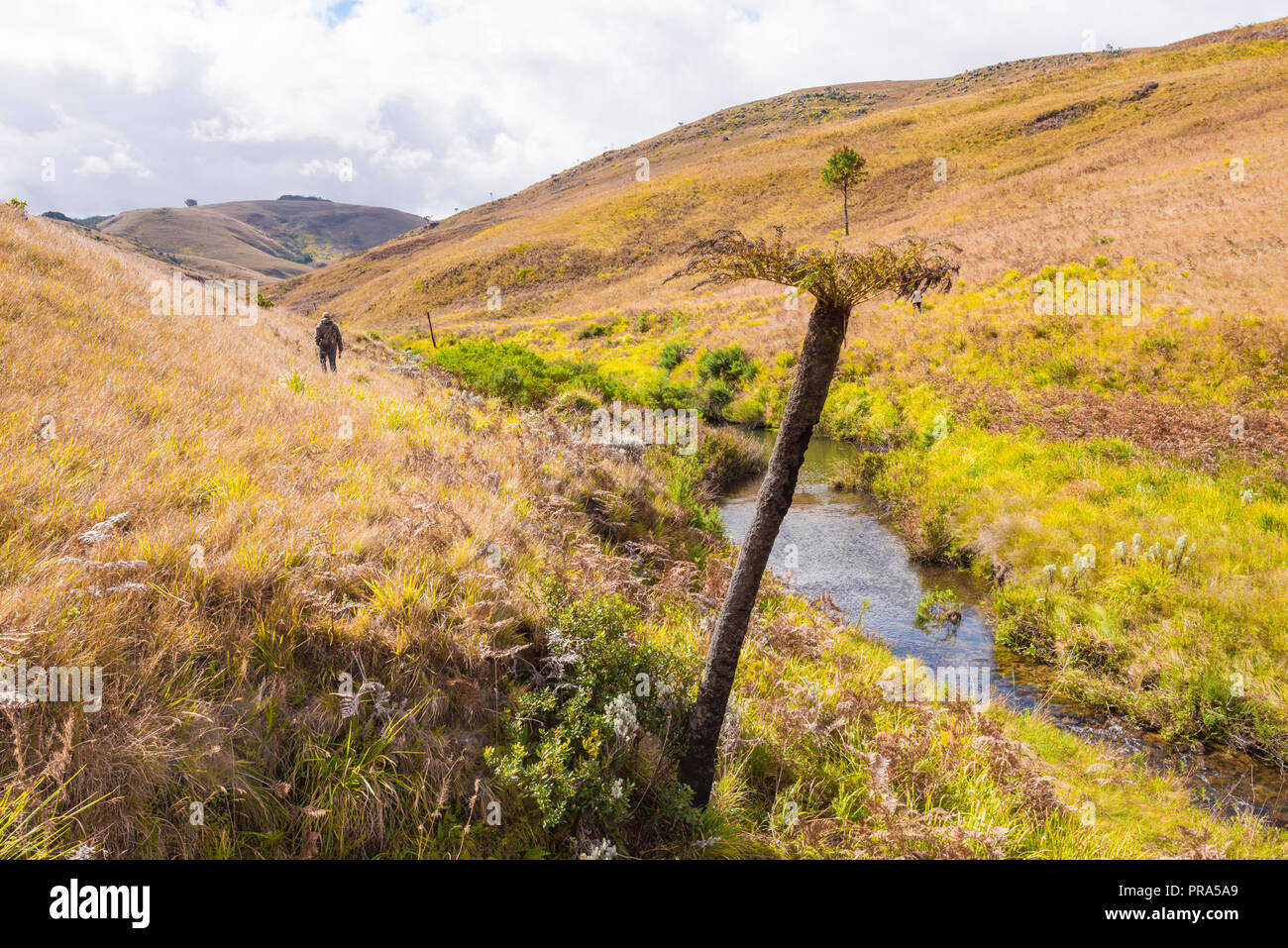 Pungwe river nyanga national park zimbabwe hi-res stock photography and ...