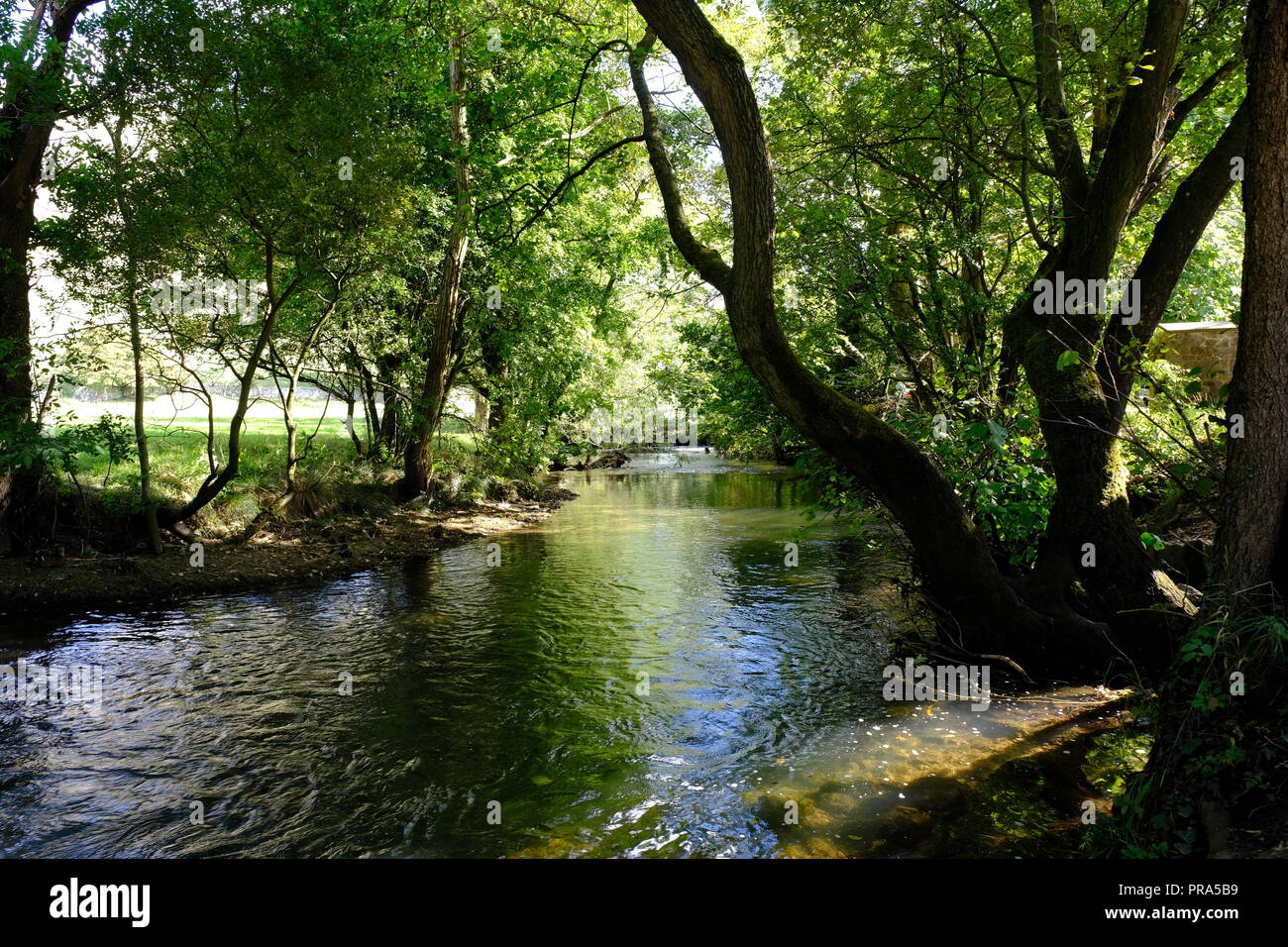 River Dove, Derbyshire, Dovedale, Stepping Stones, Fly Fishing, Sheep ...