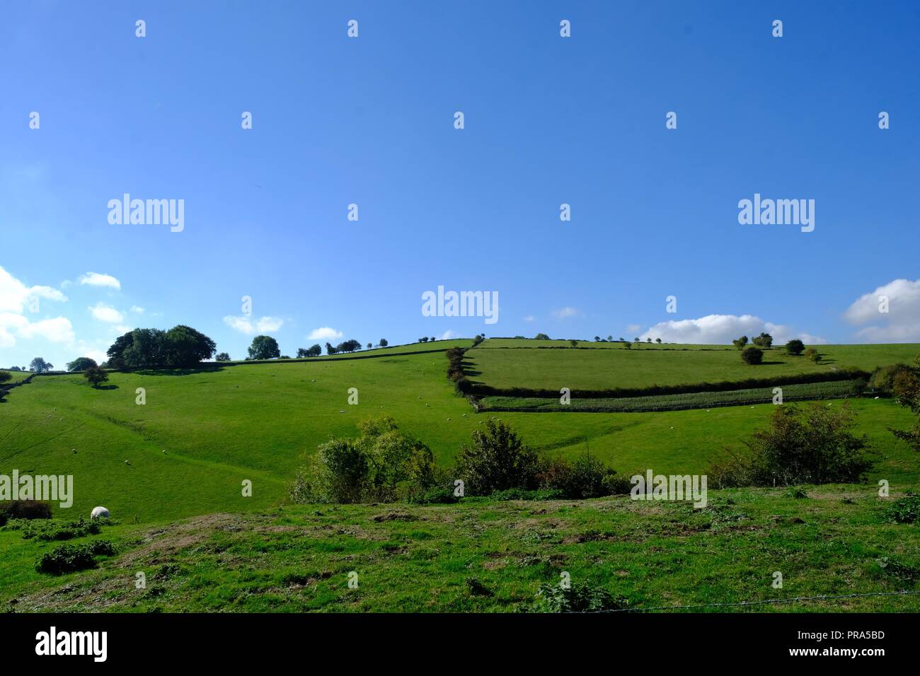 River Dove, Derbyshire, Dovedale, Stepping Stones, Fly Fishing, Sheep ...