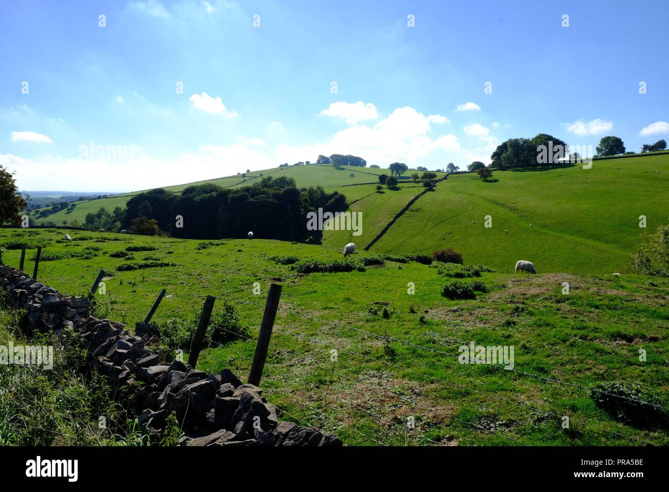 River Dove, Derbyshire, Dovedale, Stepping Stones, Fly Fishing, Sheep ...