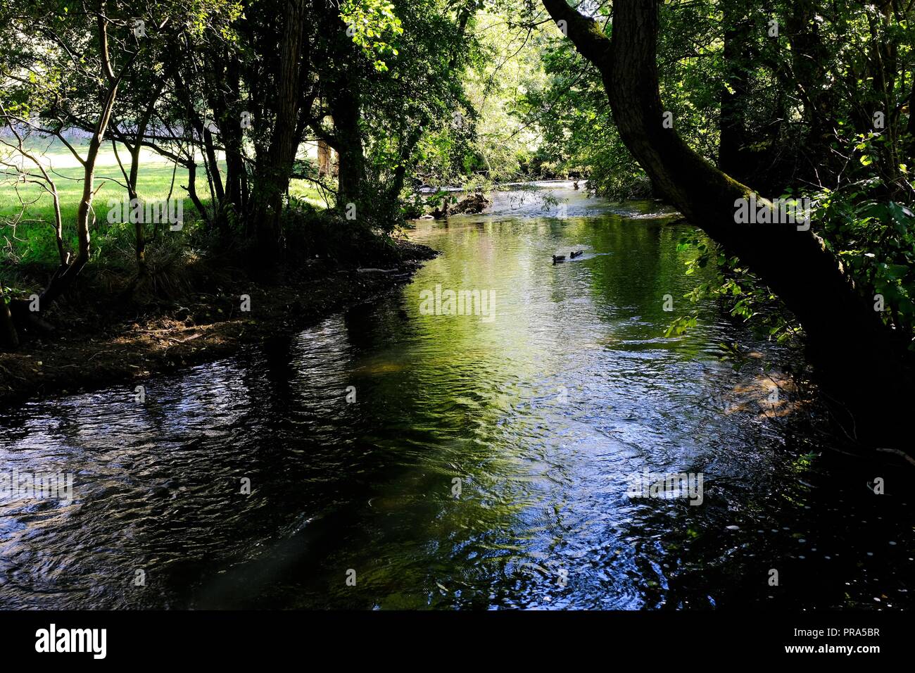 River Dove, Derbyshire, Dovedale, Stepping Stones, Fly Fishing, Sheep ...