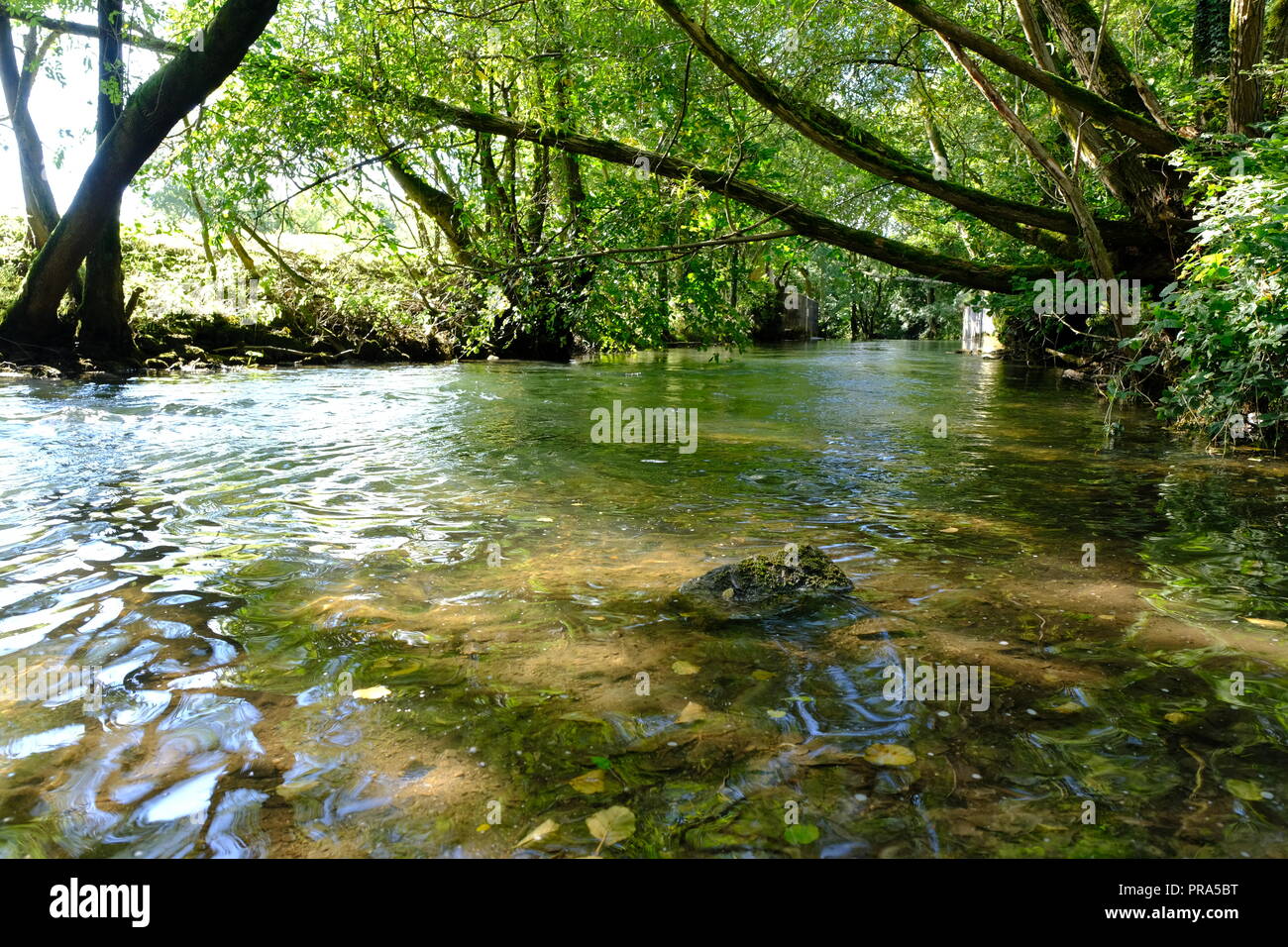River Dove, Derbyshire, Dovedale, Stepping Stones, Fly Fishing, Sheep ...