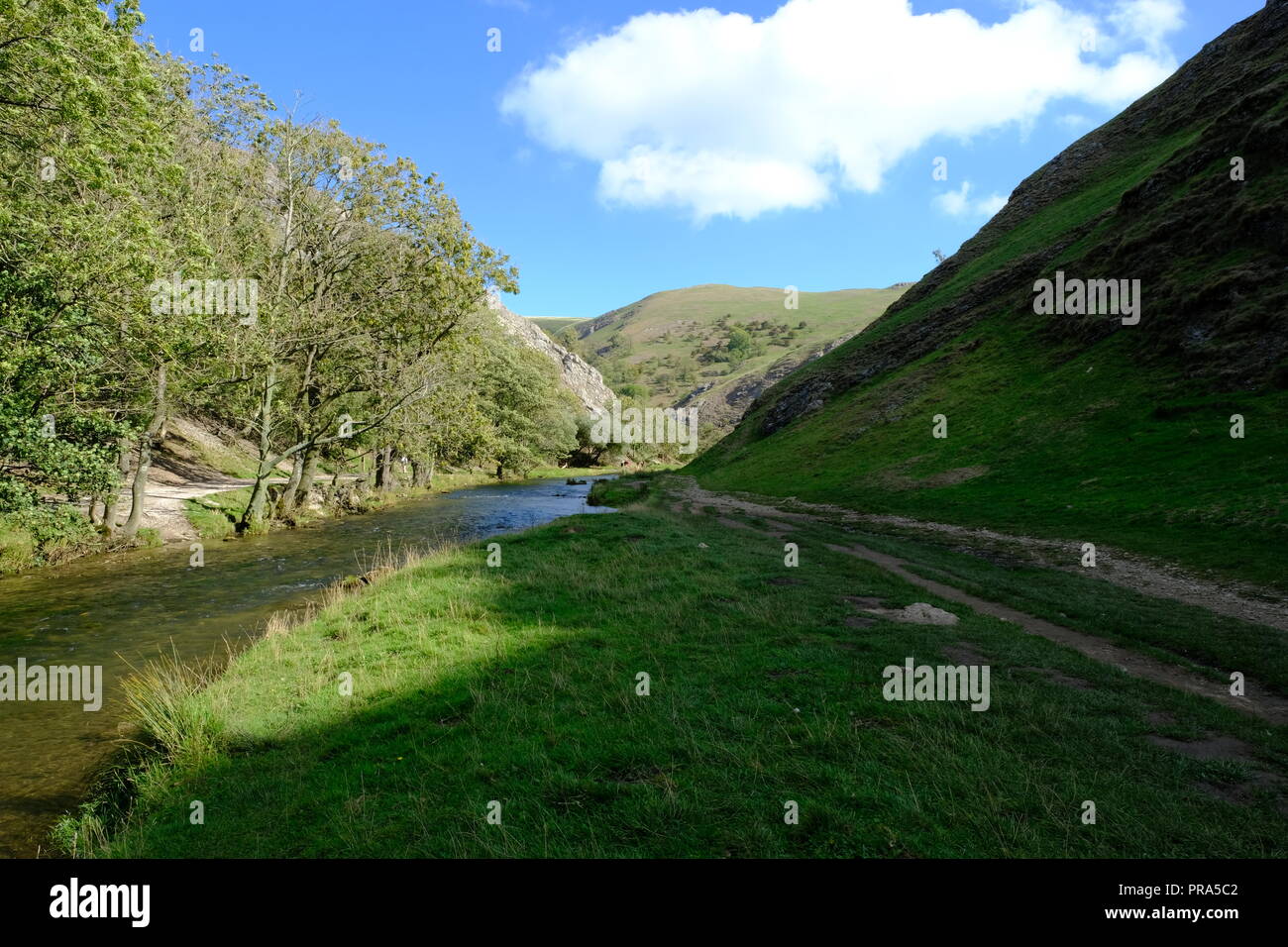Dipper river dove hi-res stock photography and images - Alamy