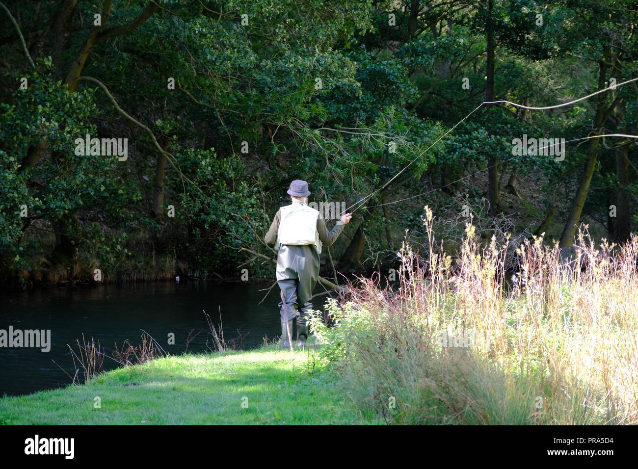 River Dove, Derbyshire, Dovedale, Stepping Stones, Fly Fishing, Sheep ...