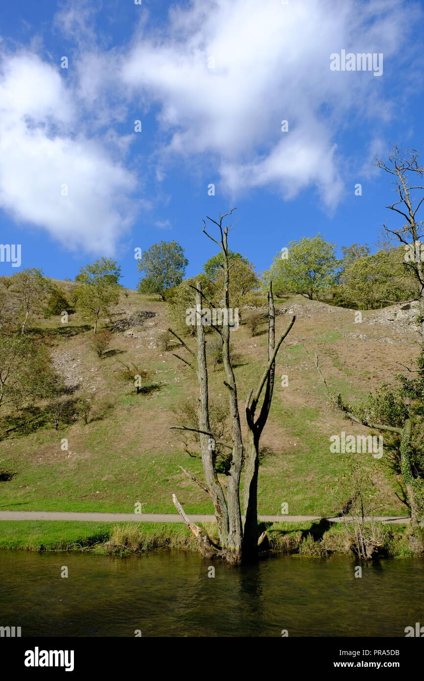 River Dove, Derbyshire, Dovedale, Stepping Stones, Fly Fishing, Sheep ...
