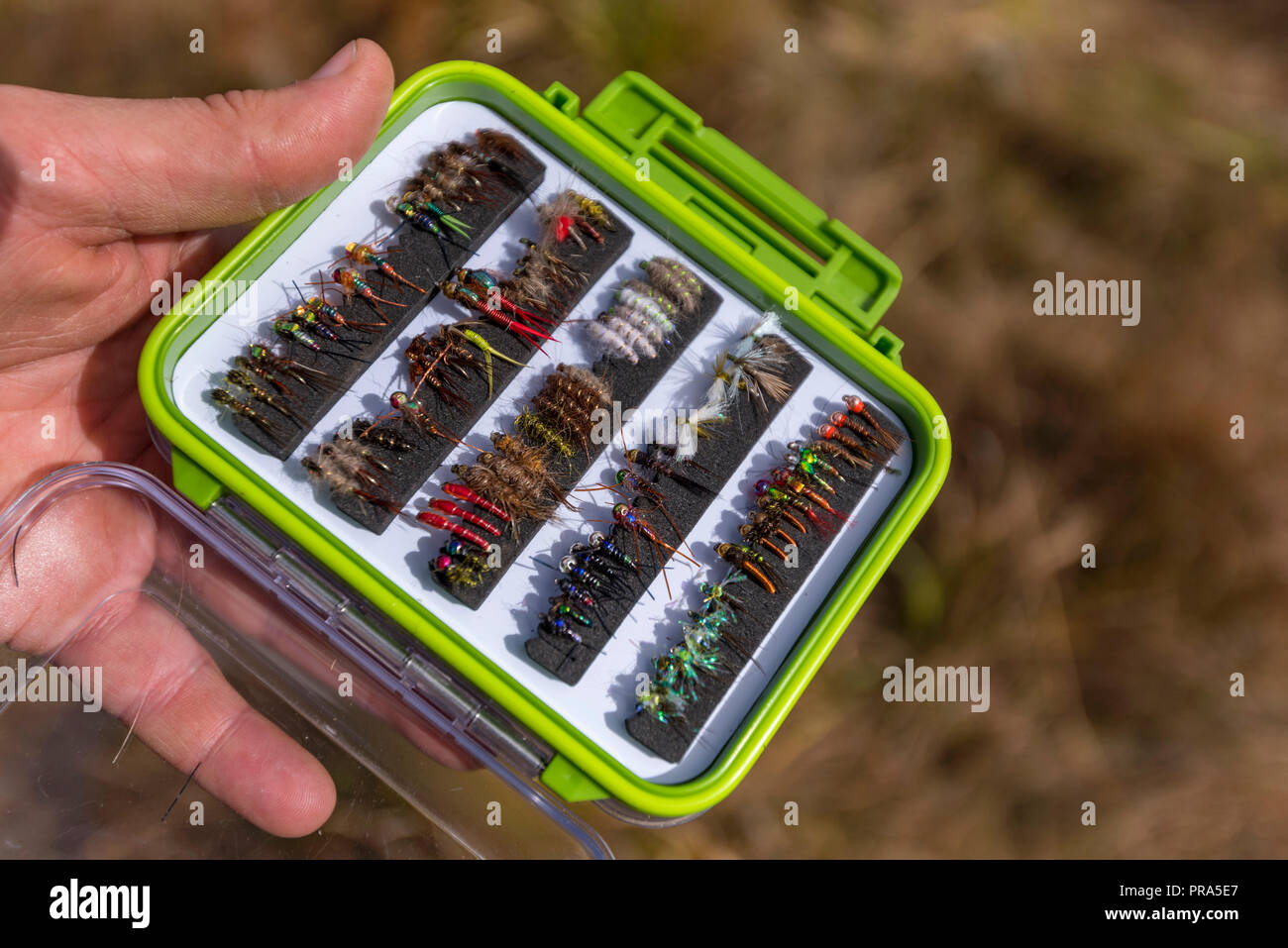 Box with flies hi-res stock photography and images - Alamy