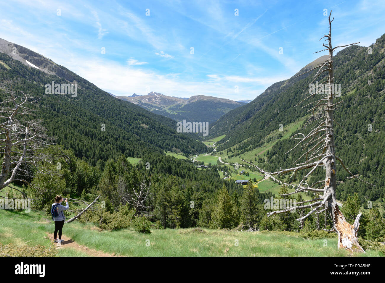 Ransol Valley in Summer, Canillo in Andorra Stock Photo - Alamy