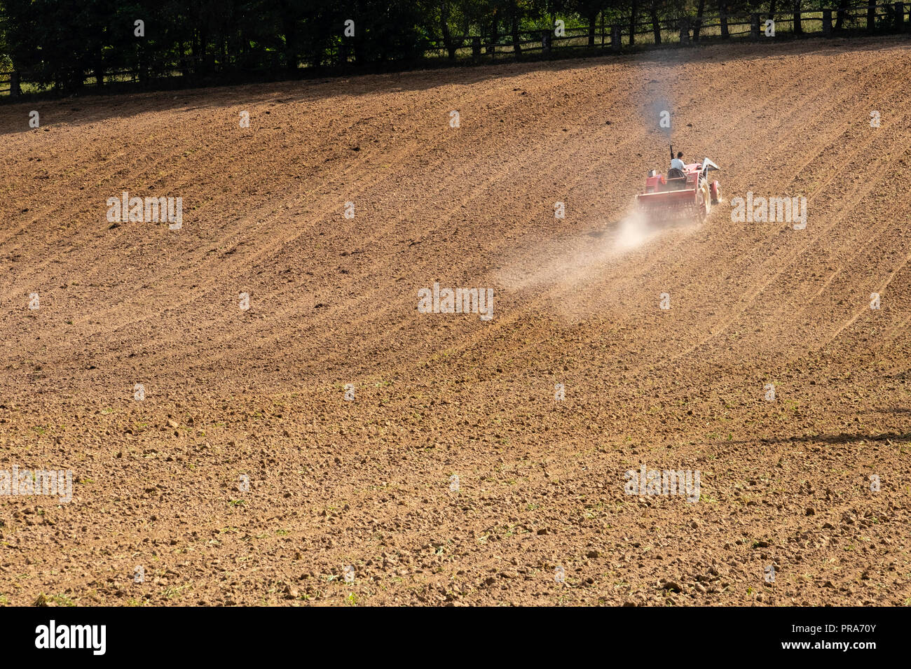 Farming, Swietokrzyskie region, Poland Stock Photo - Alamy