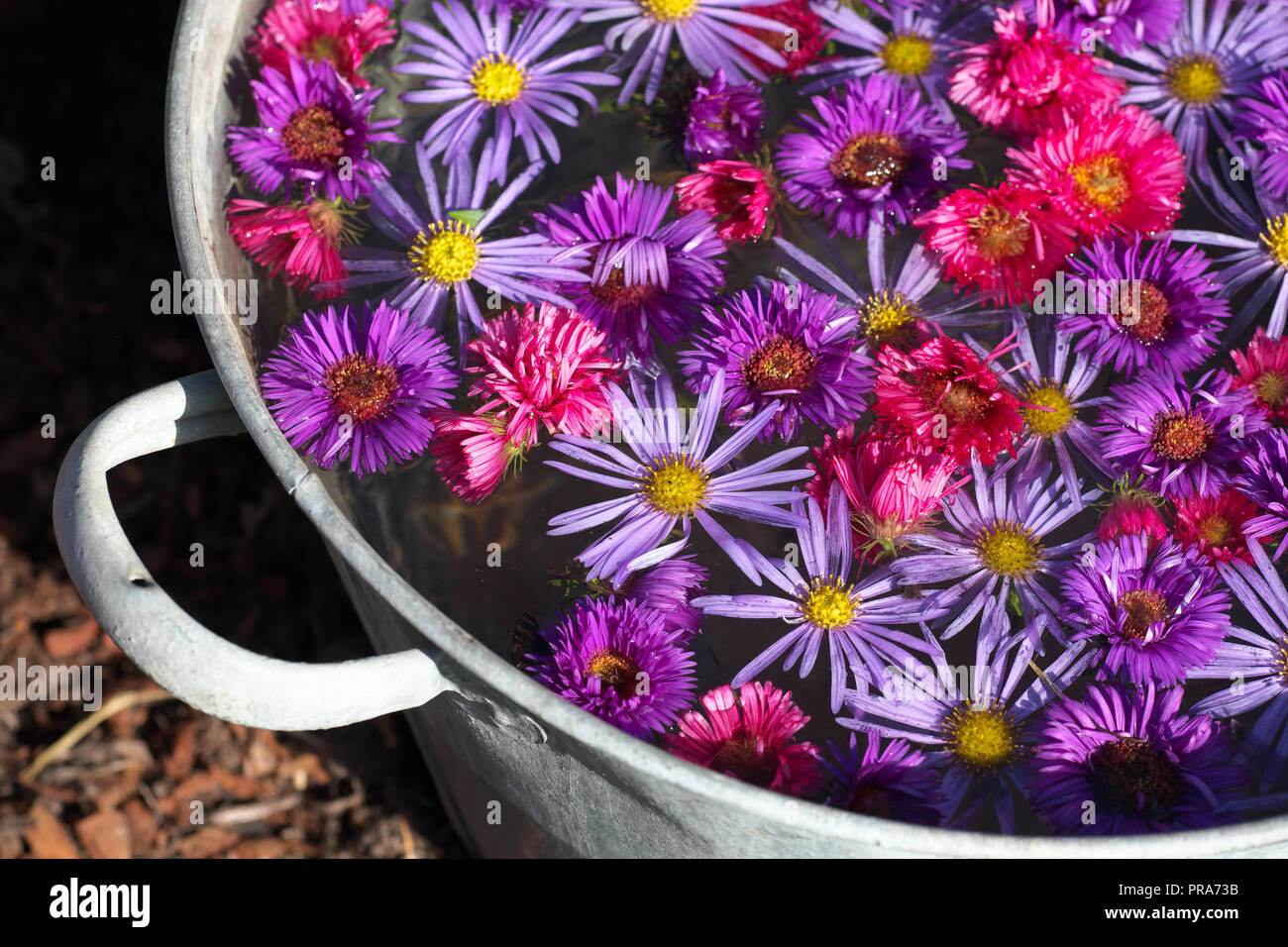 Garden tub hi-res stock photography and images - Alamy