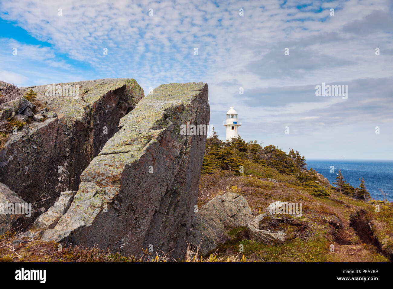Bay of bulls canada hi-res stock photography and images - Alamy