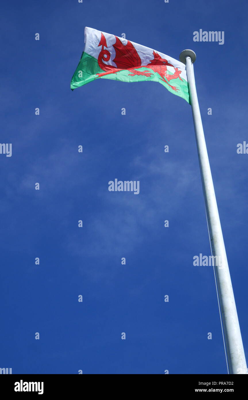 Welsh flag, y ddraig goch, blowing in the wind, Snowdonia, North Wales ...