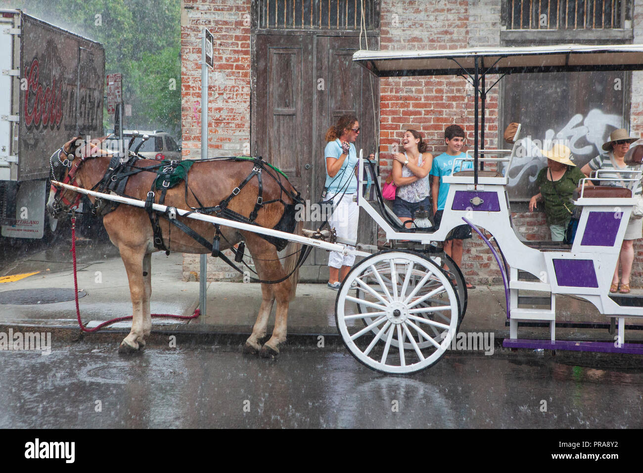 Horse and buggy tour rides along Bourbon Street, New Orleans, Louisiana ...