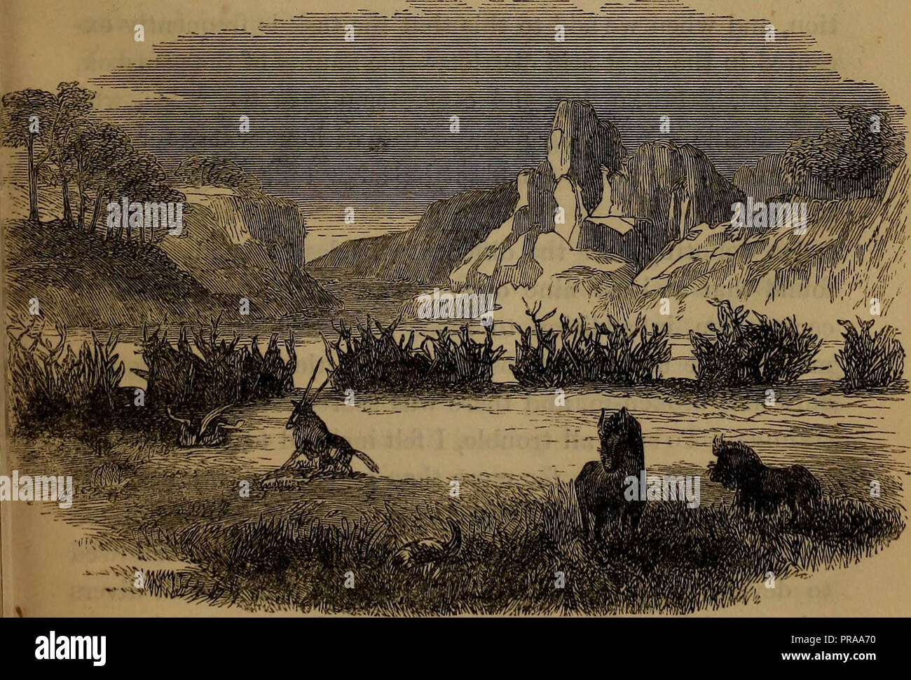 "Lake Ngami, or, Explorations and discoveries during four years ...