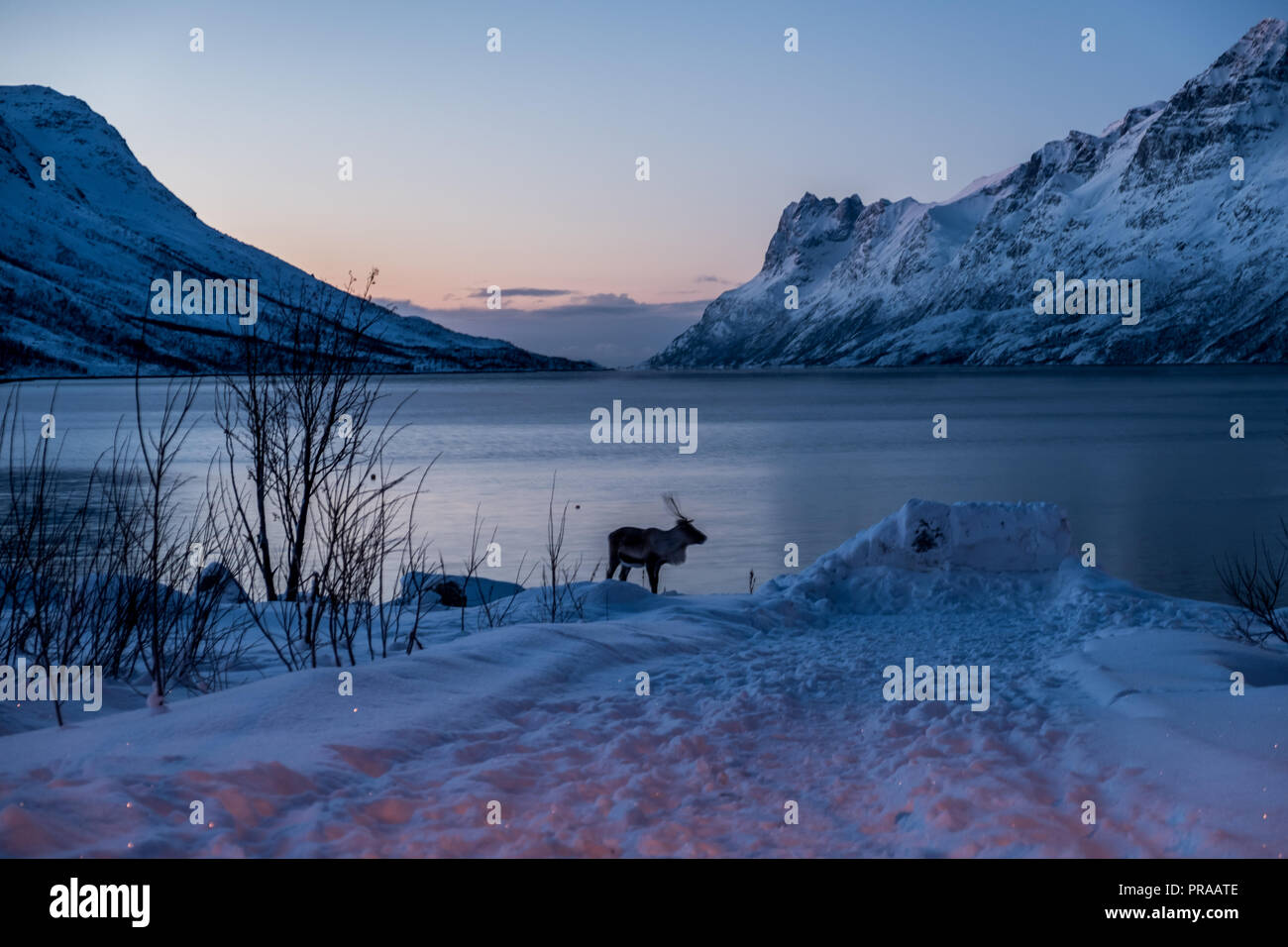 Nature in Norway Stock Photo - Alamy