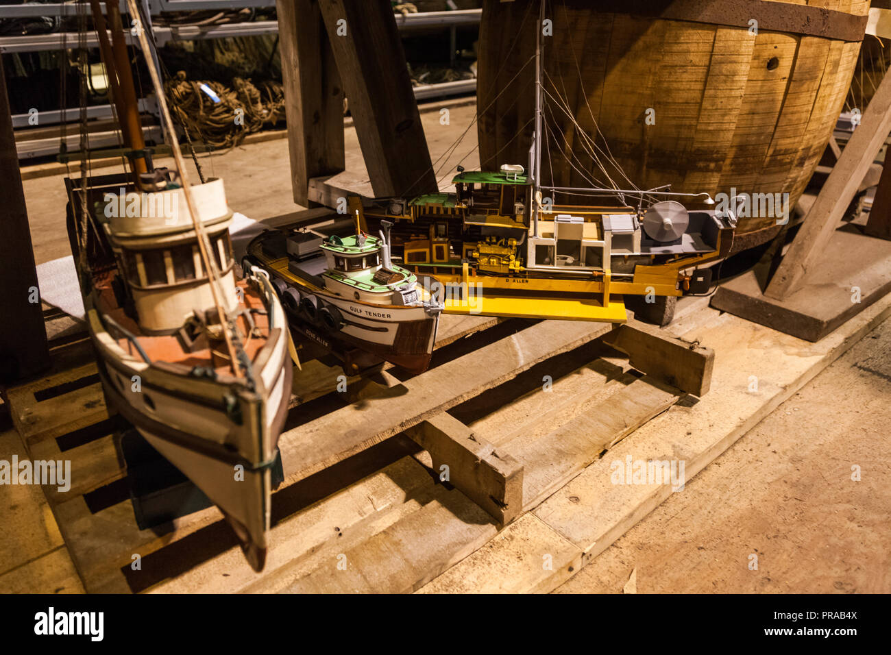 Museum collections hi-res stock photography and images - Alamy