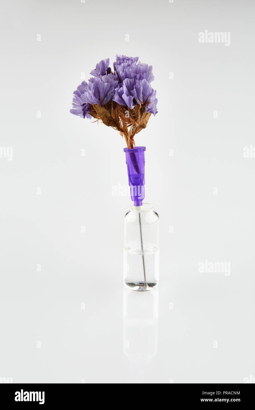 Violet flower and syringe needle in ampoule with medicine Stock Photo ...