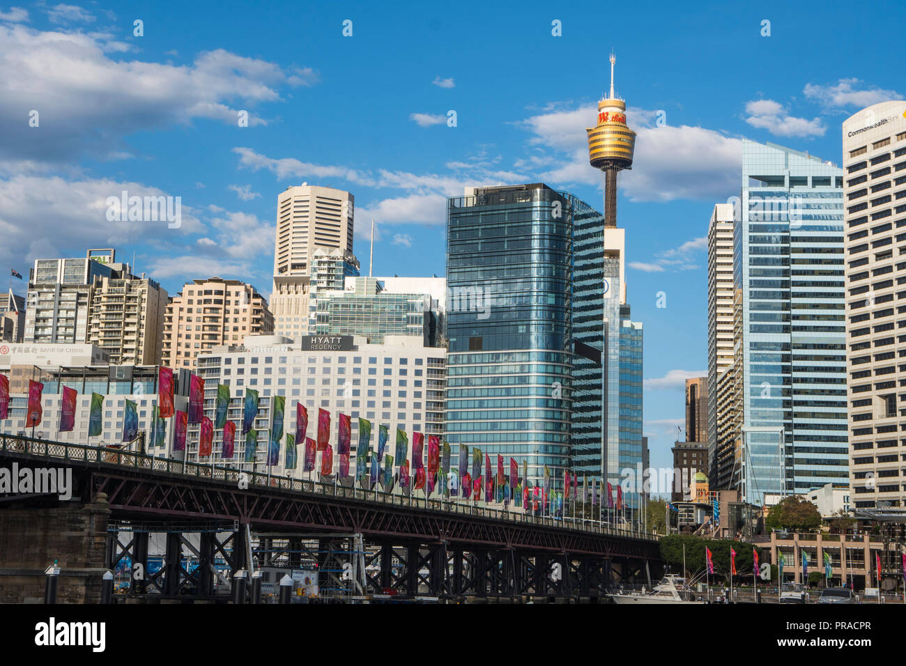 Sydney tower eye bridge hi-res stock photography and images - Alamy