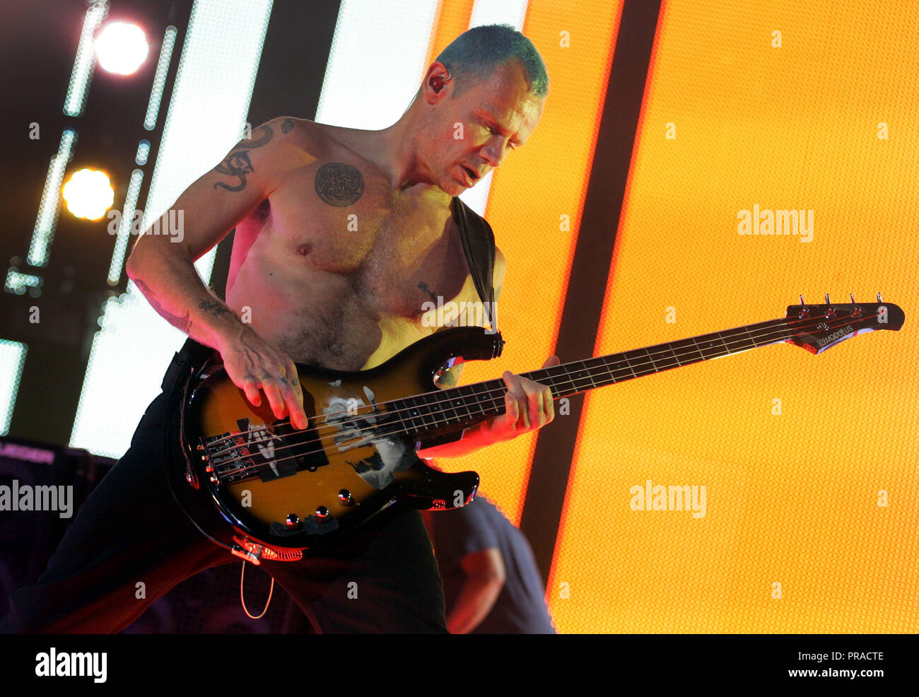 Flea of red hot chili peppers hi-res stock photography and images - Alamy