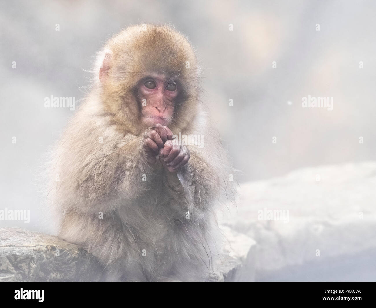 Baby baths hi-res stock photography and images - Alamy