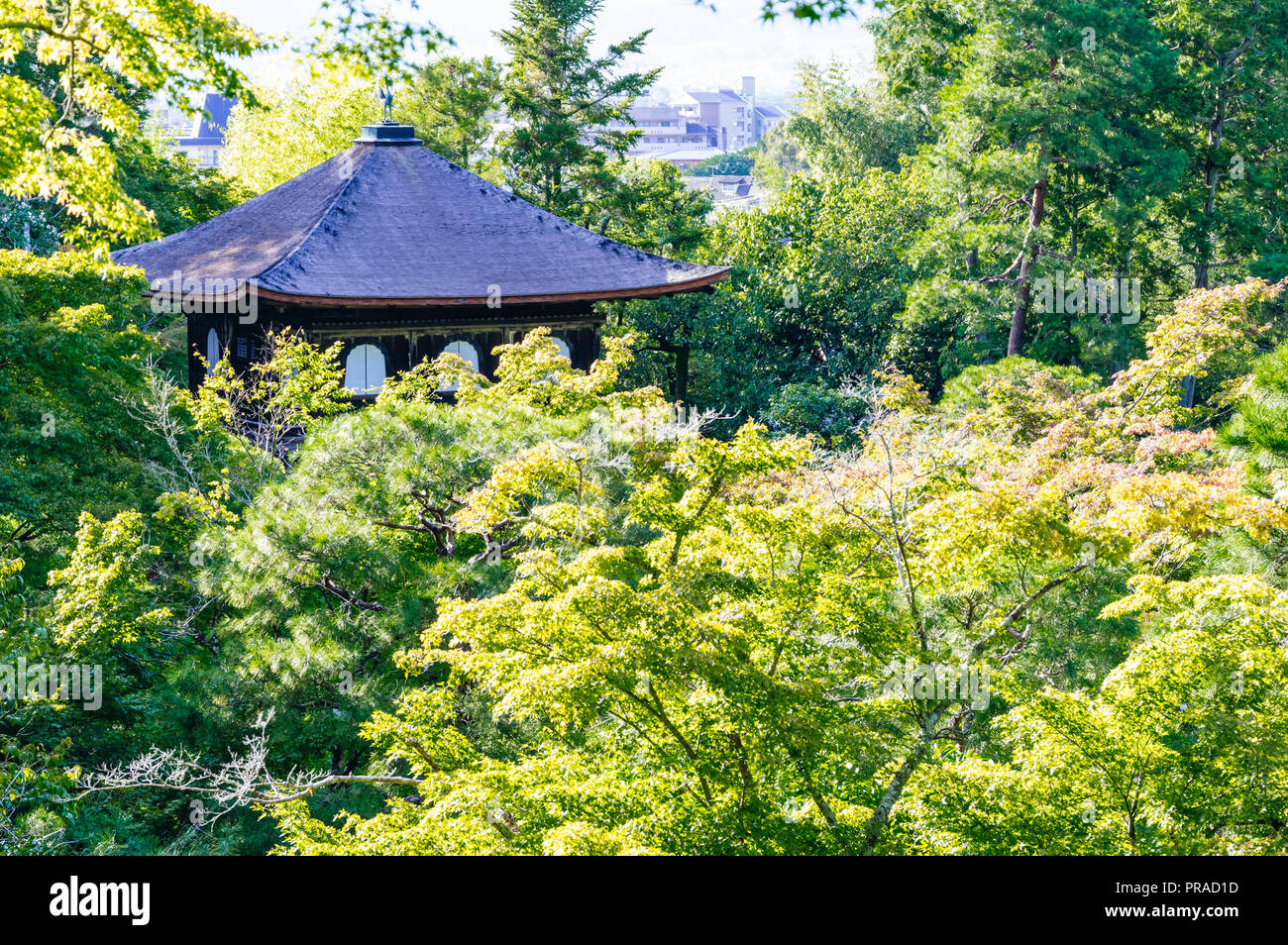 Silver pavilion hi-res stock photography and images - Alamy