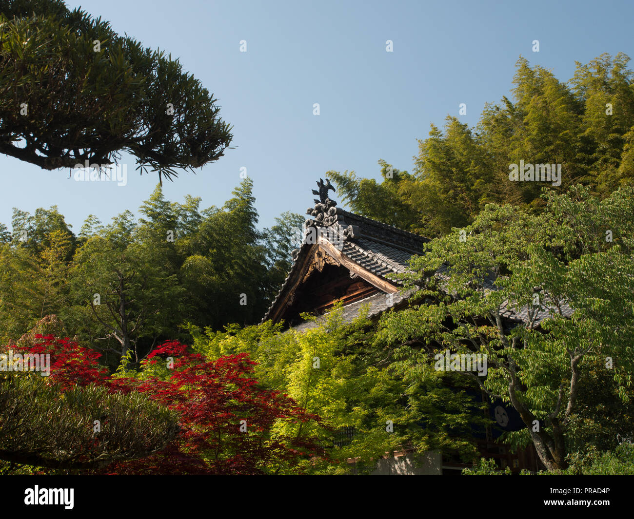 Imabari shikoku hi-res stock photography and images - Alamy