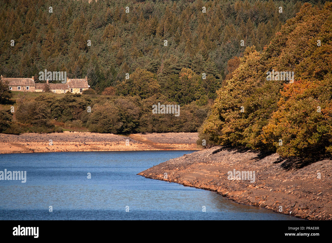 Tunstall Reservoir near Wolsingham, in Weardale, County Durham Stock ...