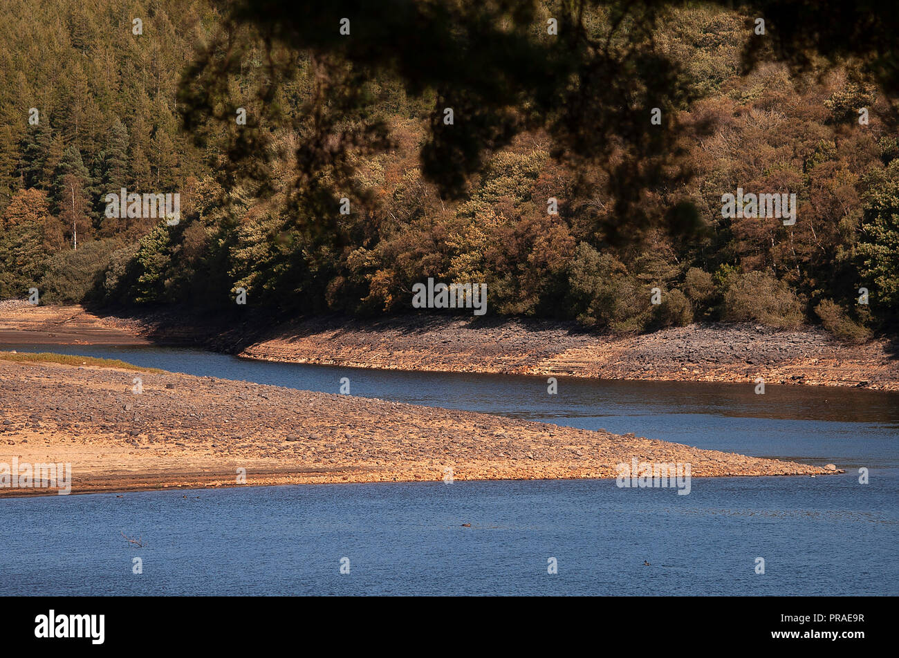 Tunstall Reservoir near Wolsingham, in Weardale, County Durham Stock ...