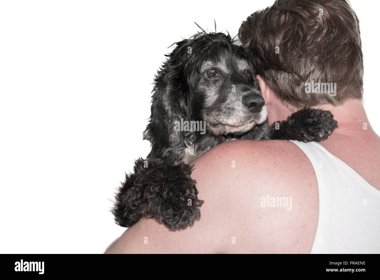 Man Hugging His Cute Dog Stock Photo - Alamy