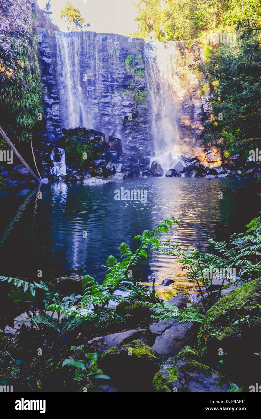 Te wairoa new zealand hi-res stock photography and images - Alamy